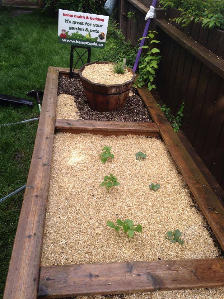 Hemp Mulch Garden Topper – herbacious.ca